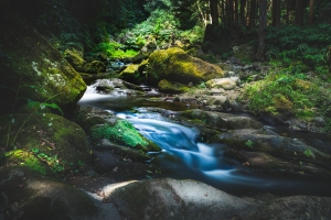 De mooiste watervallen van de Azoren - Chasing waterfalls - Soms Ook ...
